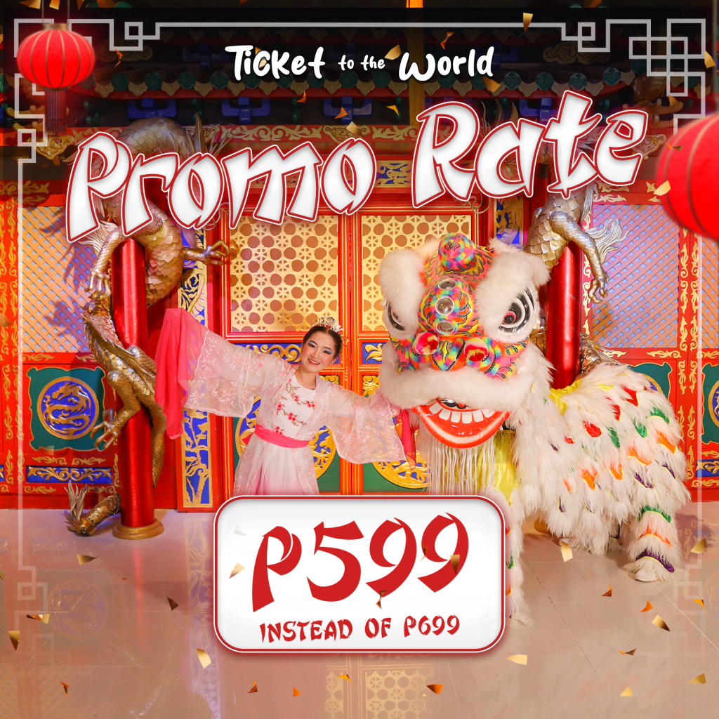 Tickettotheworld-ticket – Amusements