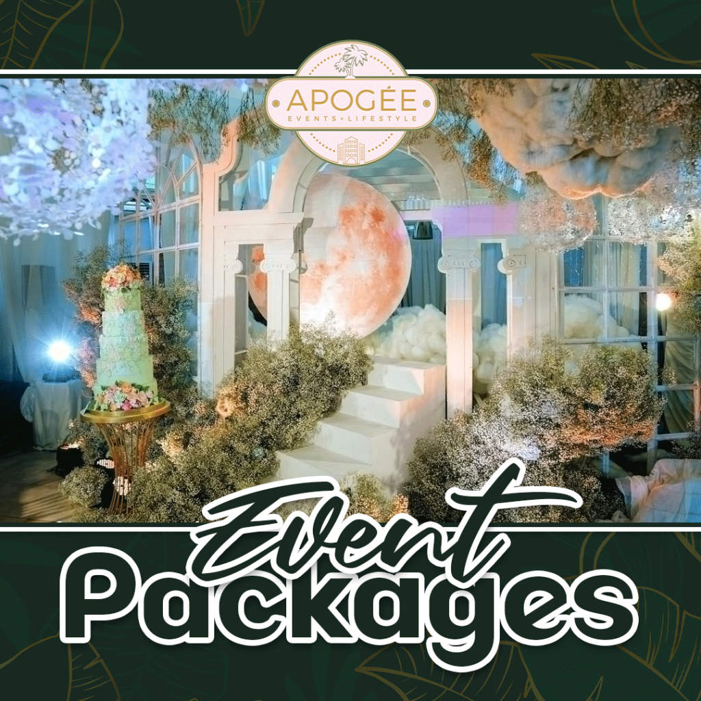 Apogee ticket – Amusements